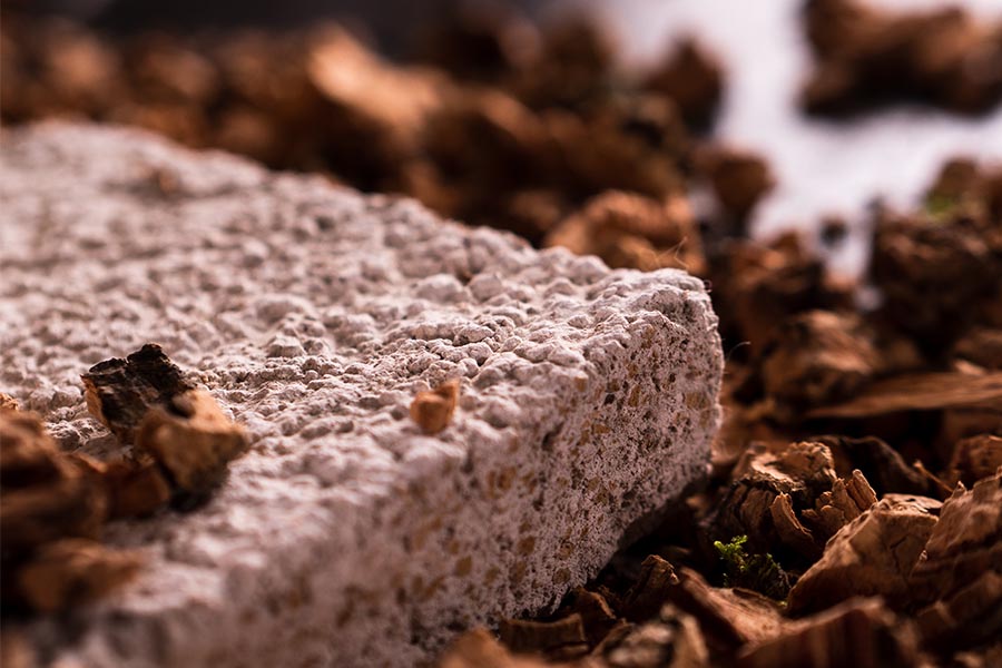 biobased en geosourced isolatiemortels