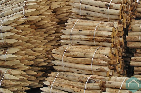 kastanje palen - Producten | Ecomat