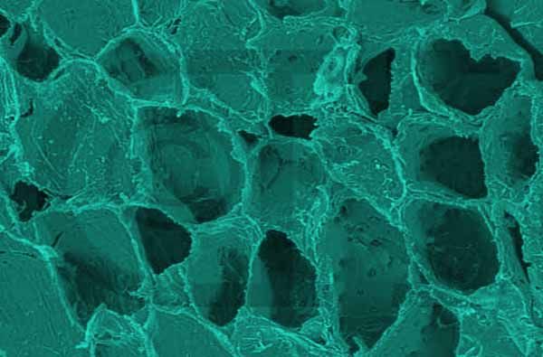 cellulosevezel - Kennisbank | Ecomat